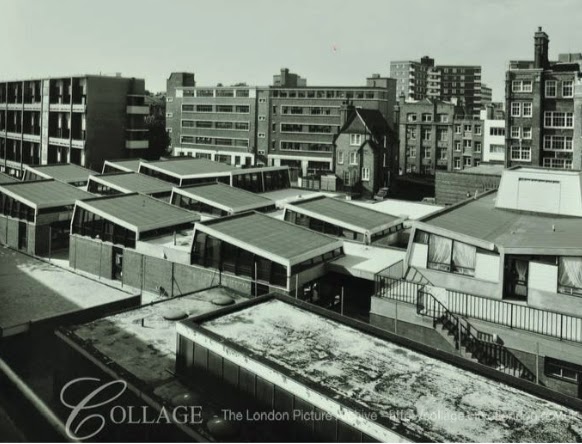 OPEN Golden Lane: The CoLPAI Development