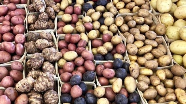 El Gourmet Urbano: 🥔 #COMIDASALUDABLE #TUBERCULOS | La papa y su ...