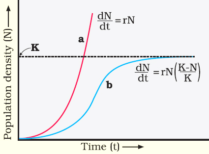Organisms and Populations - Notes | Class 12 | Part 4: Population Growth