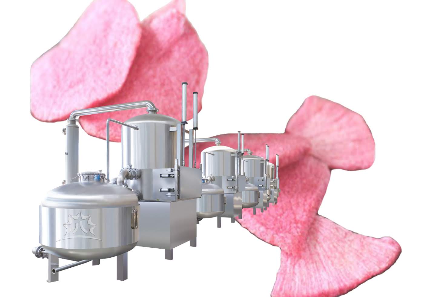 Vacuum fryer: Vacuum Frying Plant