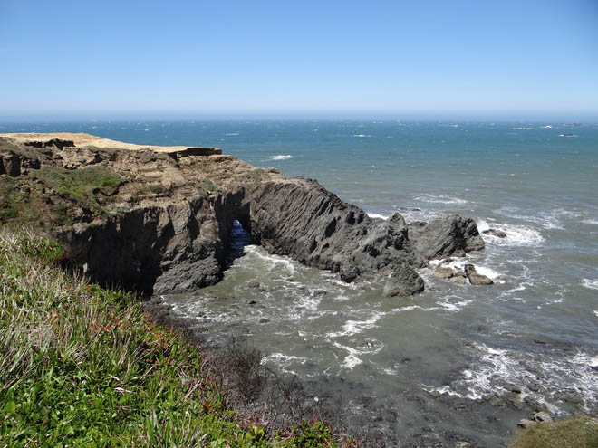 Reflections From the Fence: THE Trip, THE Encore' :: Otter Point State ...