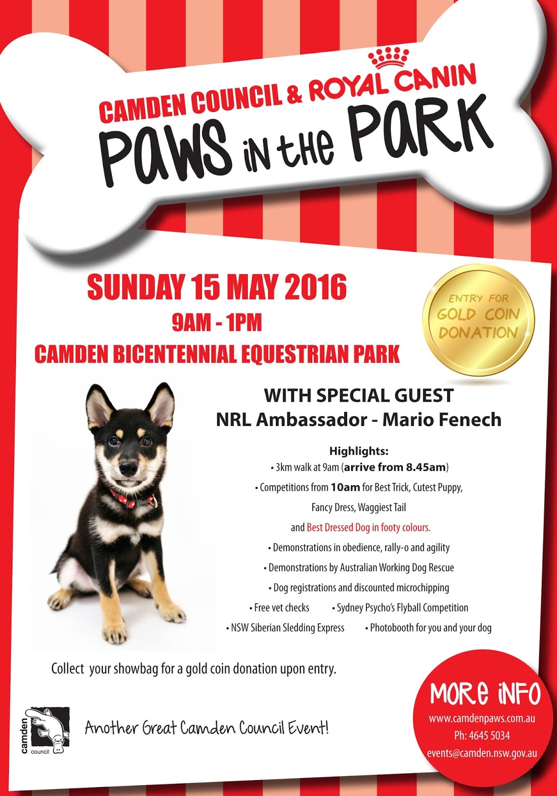 Paws in the Park Camden - May 15 | Australian Dog Lover