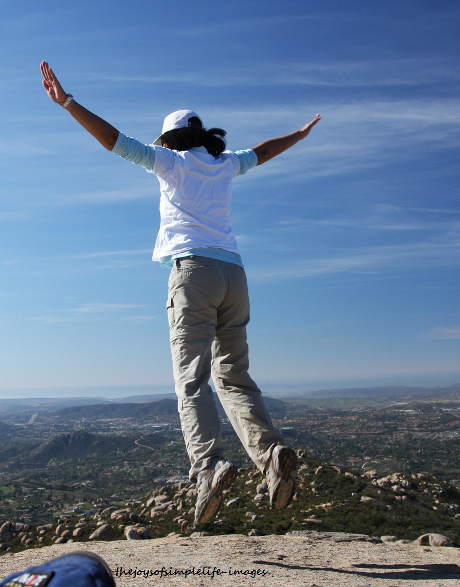 The Joys of Simple Life: The Anatomy of a Jump