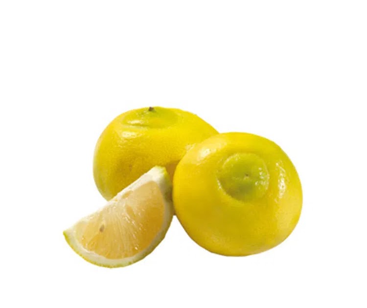 ANPP Animales y Plantas de Perú: Lima - Citrus aurantifolia: Perú ...