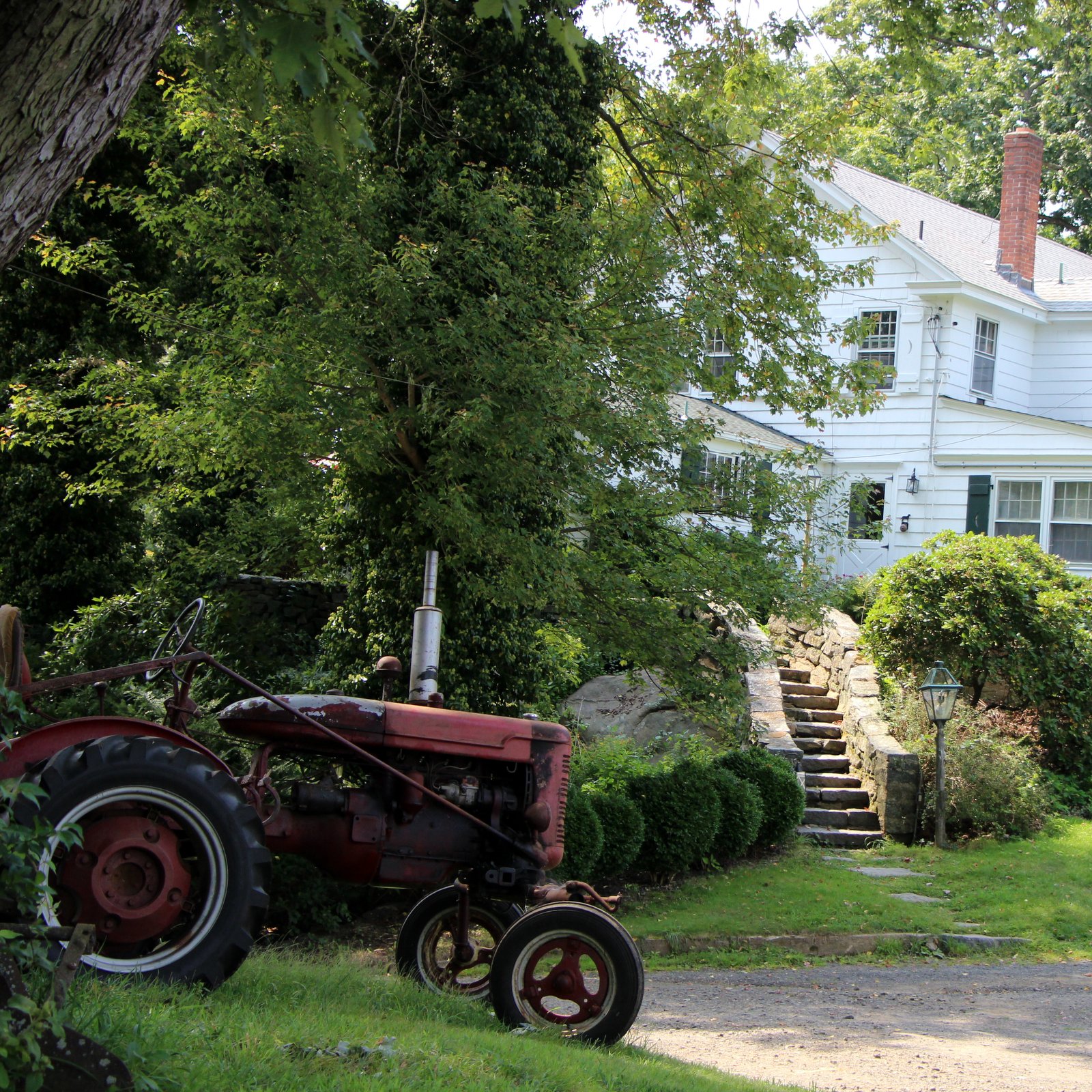 Barberry Hill Farm: Late Summer Farm