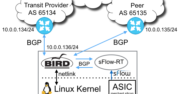 sFlow: IPv6 Internet router using merchant silicon