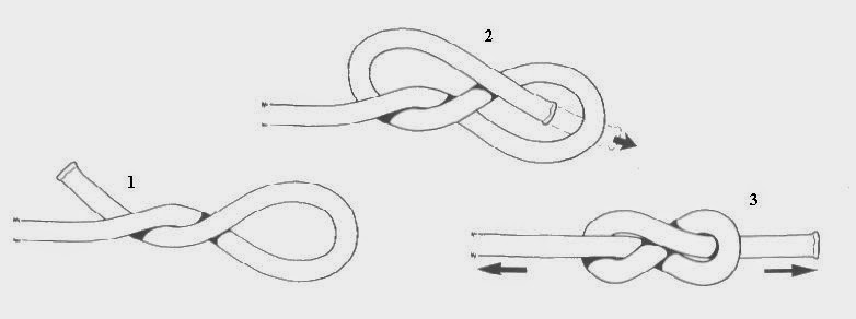 Tecnica Scout: 8 nudos basicos Scout