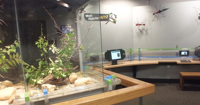 The Zoo Review: Zoo History: The Big Bug House