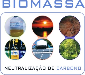 Tudo isso é Física: Geração de Energia elétrica através da Biomassa