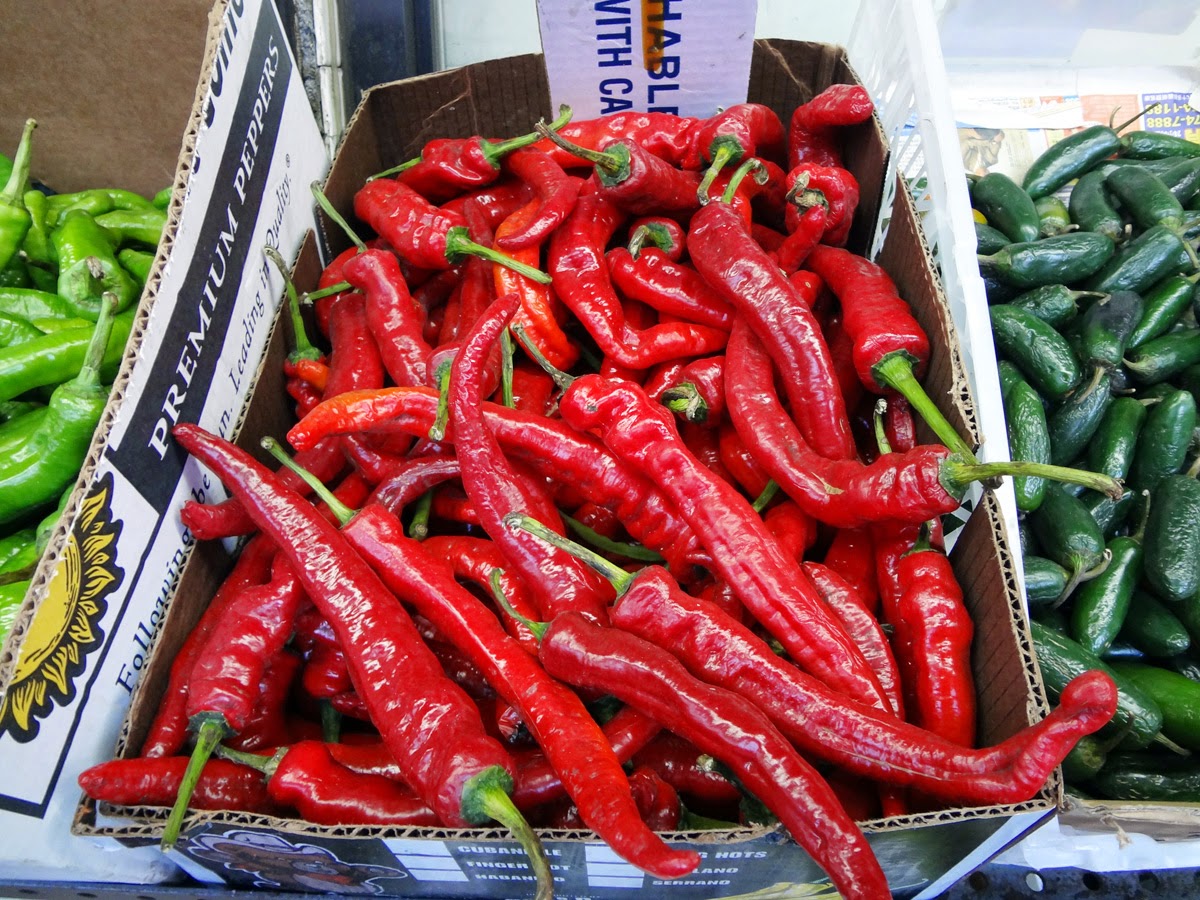 Pimenta Chilli