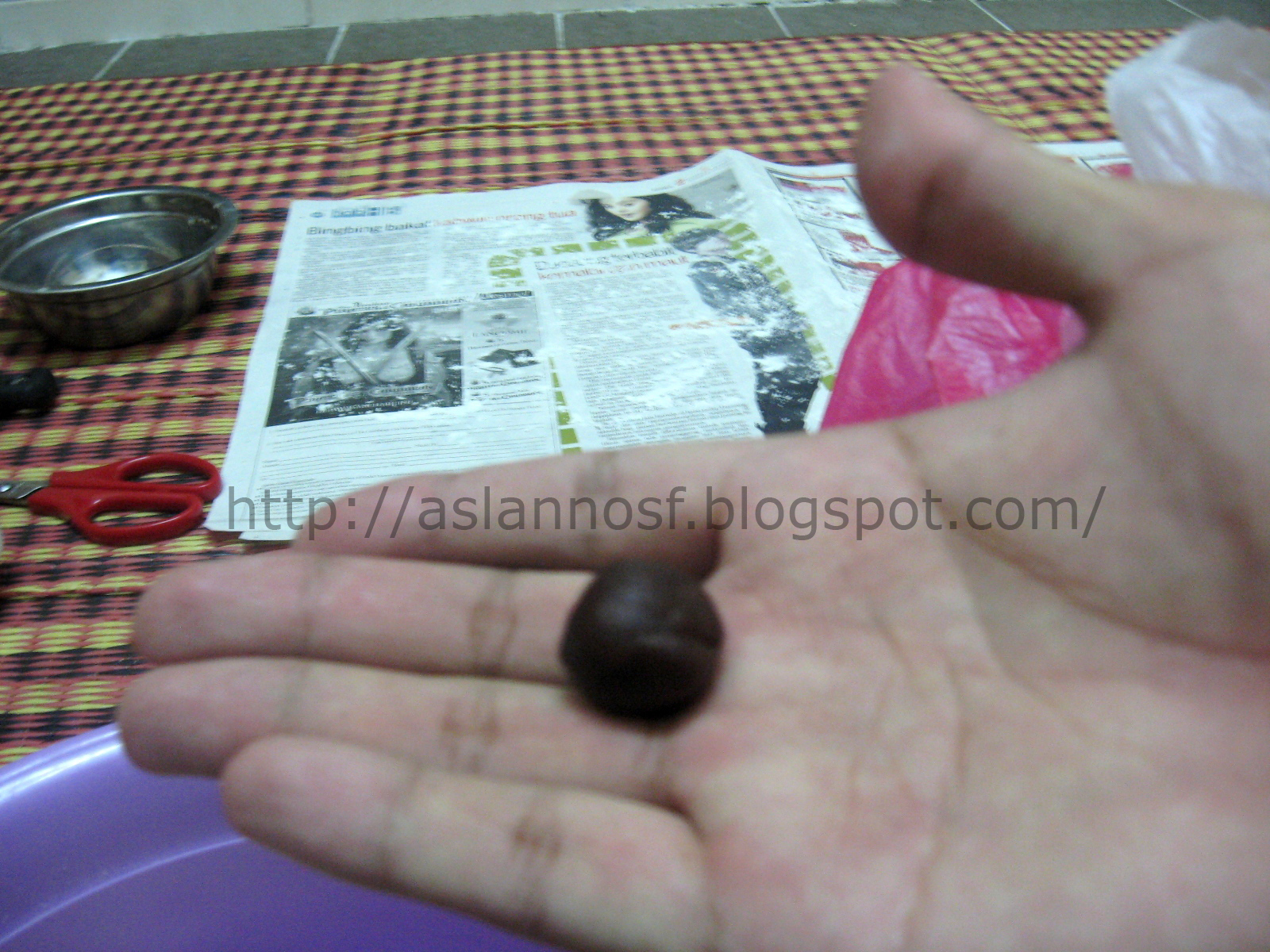 aslann as ::one step forward::: Resepi aosf | Pau Goreng Comel