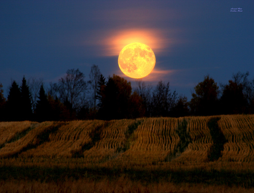 RETRO KIMMER'S BLOG: FULL HARVEST MOON SEPT 19, 2013