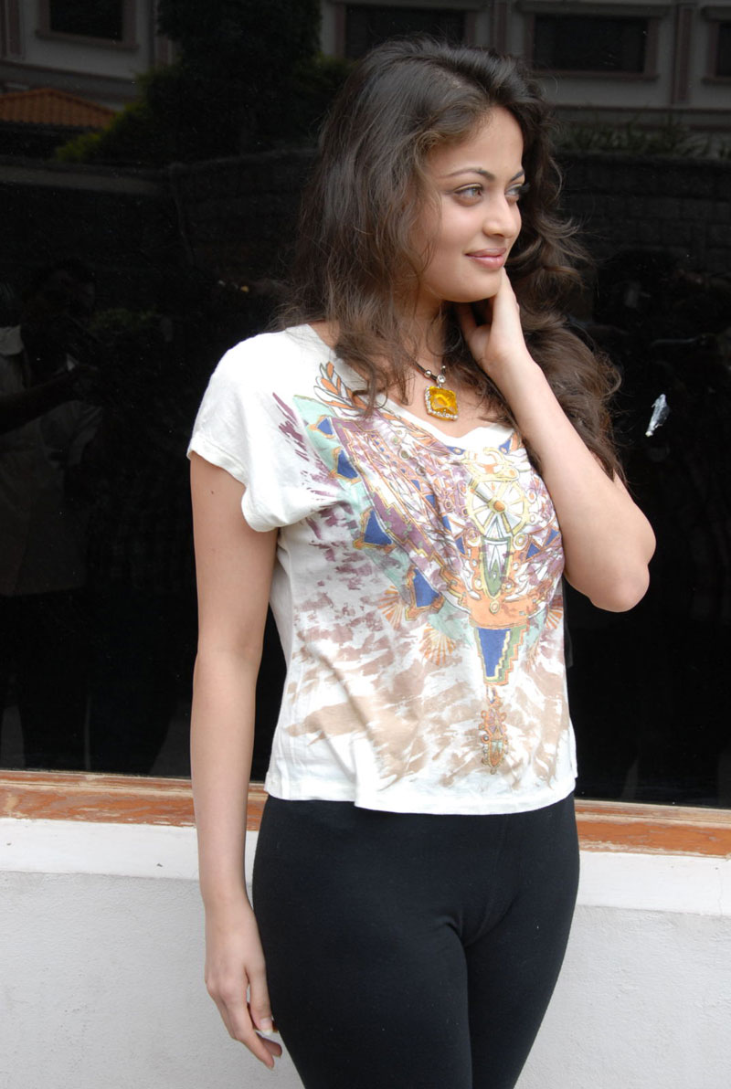 Sneha Ullal Latest Photo Shoot Stills