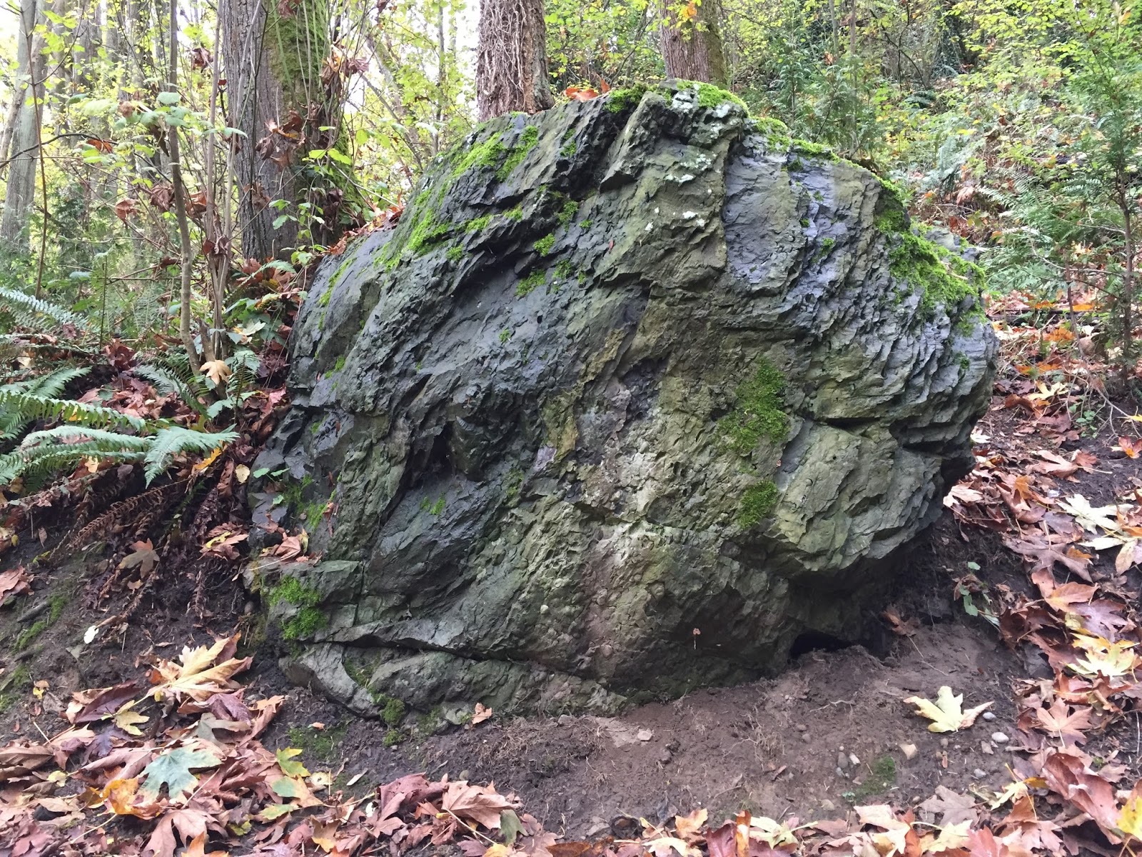 Boren Park, ENVIR 280 Journal: Erratic In Seattle - Seattle Erratic ...