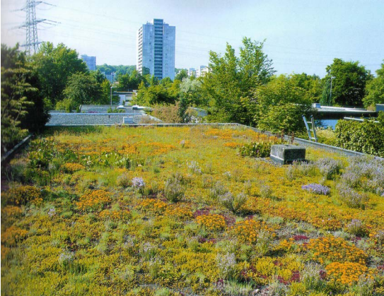 ΤΑΡΑΤΣΟΚΗΠΟΣ...Ο ΚΗΠΟΣ ΤΩΝ ΠΟΛΕΩΝ: ΜΕΣΟΓΕΙΑΚΟΙ ΚΗΠΟΙ: Η επαναφορά της ...