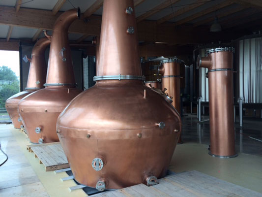 Whisky For Everyone: The Rise and Rise of Irish Whiskey