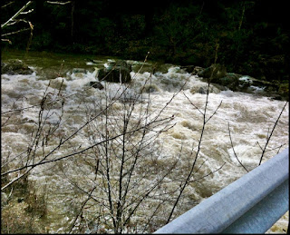 Siskiyou County Camping: Views along the Scott River