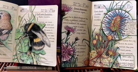 Design Stack: A Blog about Art, Design and Architecture: Nature Journal ...