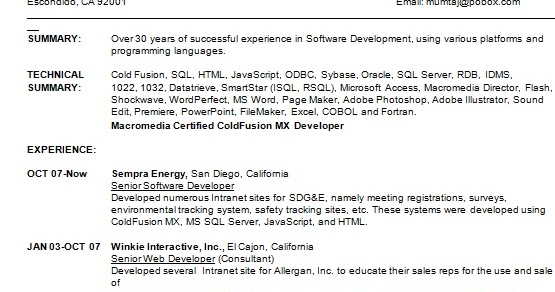 Senior Software Developer Resume Format in Word Free Download