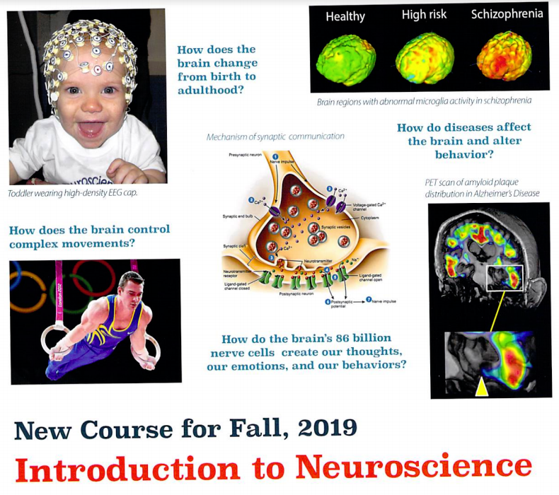 UMD PSYC E-News: New course for Fall 2019: PSYC 309U Introduction to ...