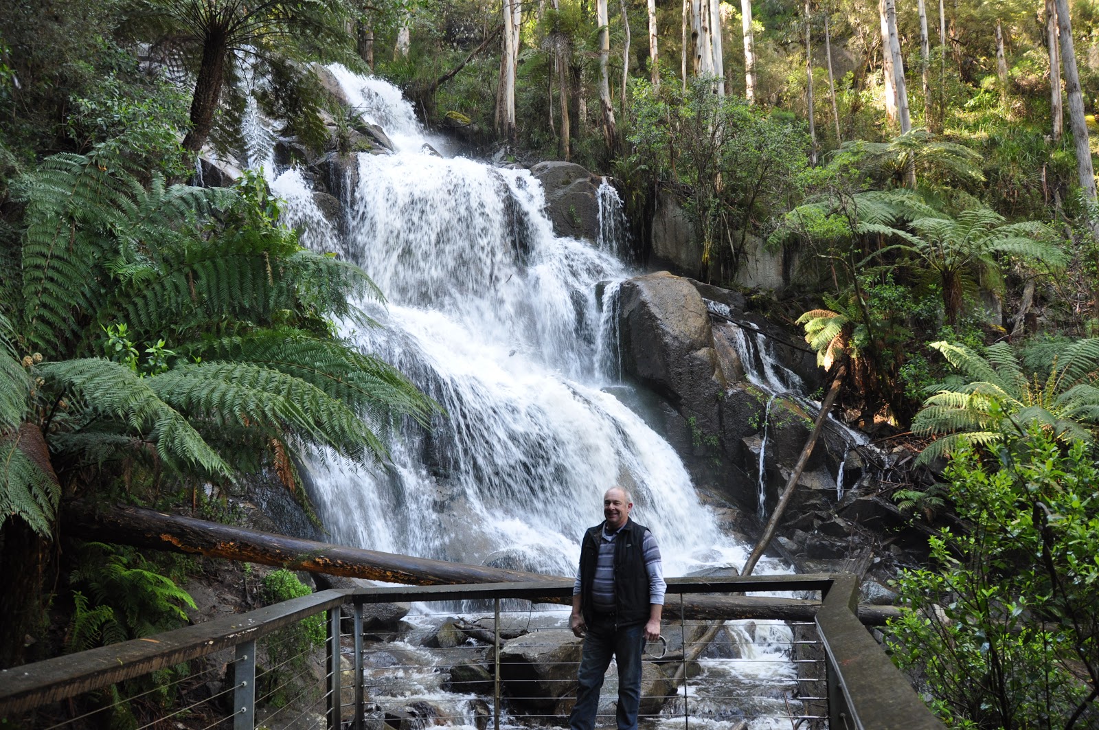 BarbaraTVan: Barbara Goes Bush #1 - 12/10/2012