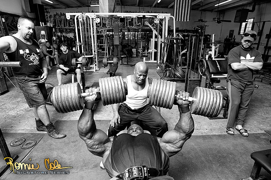 Ronnie Coleman Signature Series :: ~ Tenfre