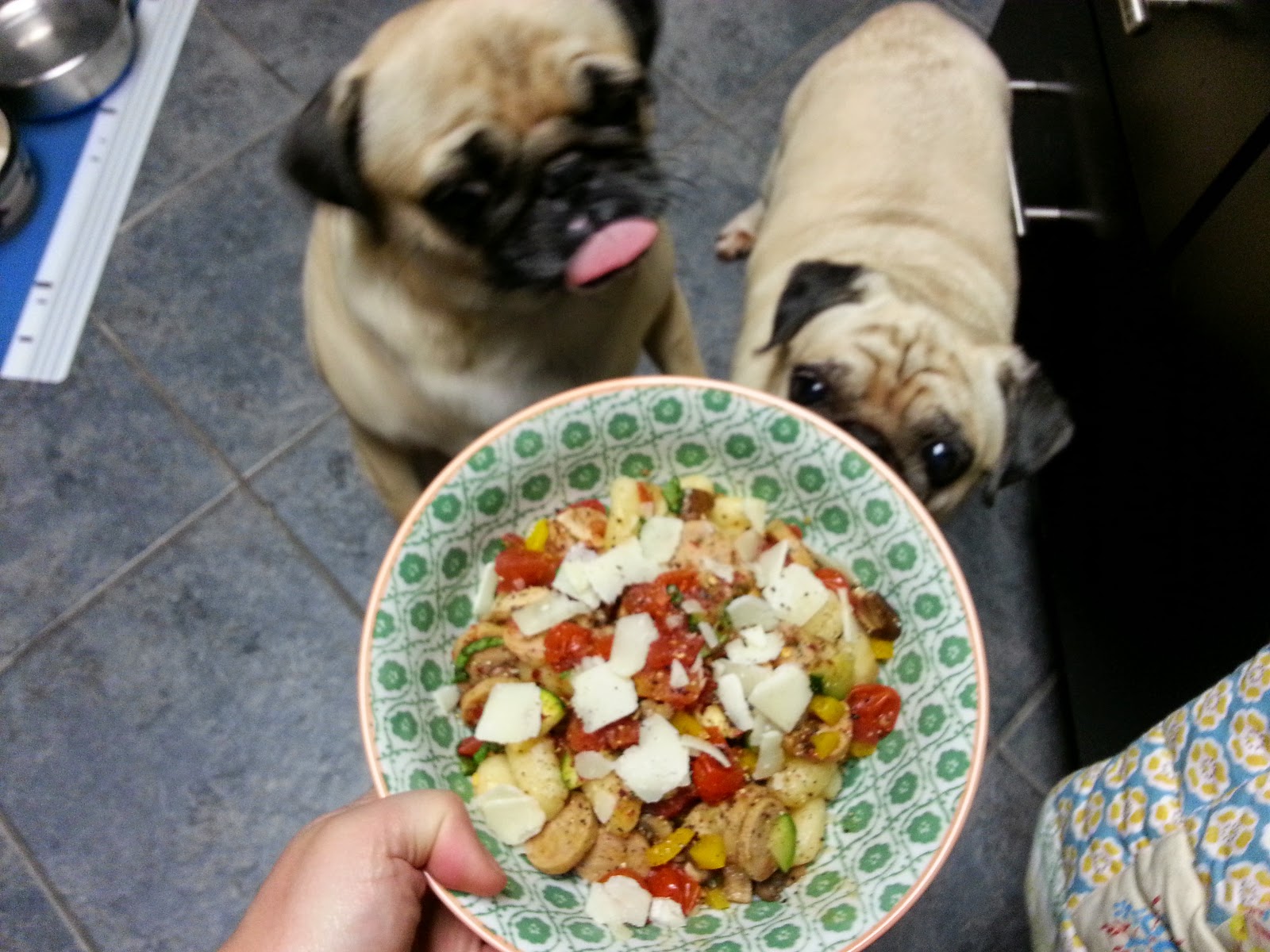 Grubbin' Pugs: Gnocchi with Tomatoes, Vegetables, Mushrooms, Chicken ...
