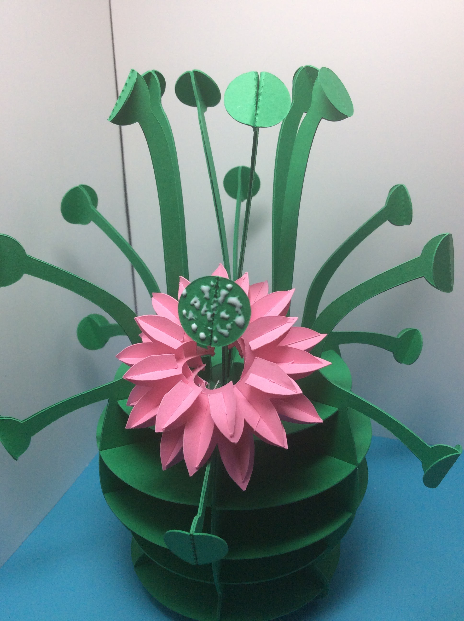 Papercrafts and other fun things: A STEM Project: An Amazing Slice Form ...