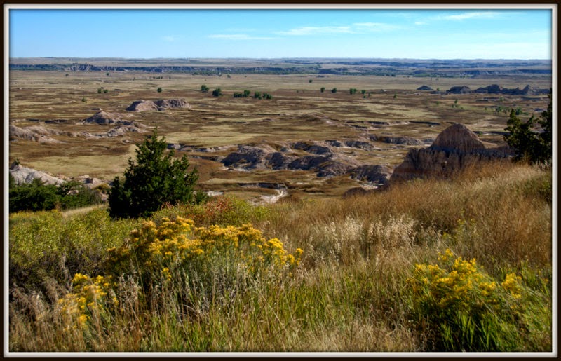 Travels with Fred & Susan Magness