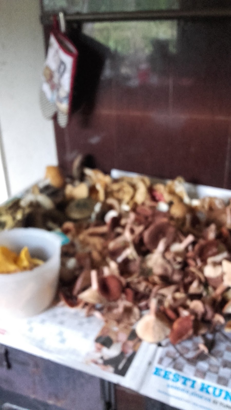 Linnast maale : Seenesupp