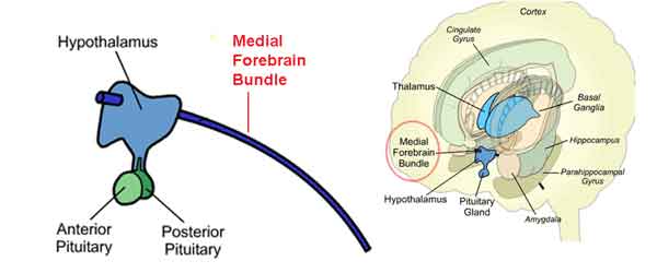 Unfiltered Learning: Week 7 Reading Response