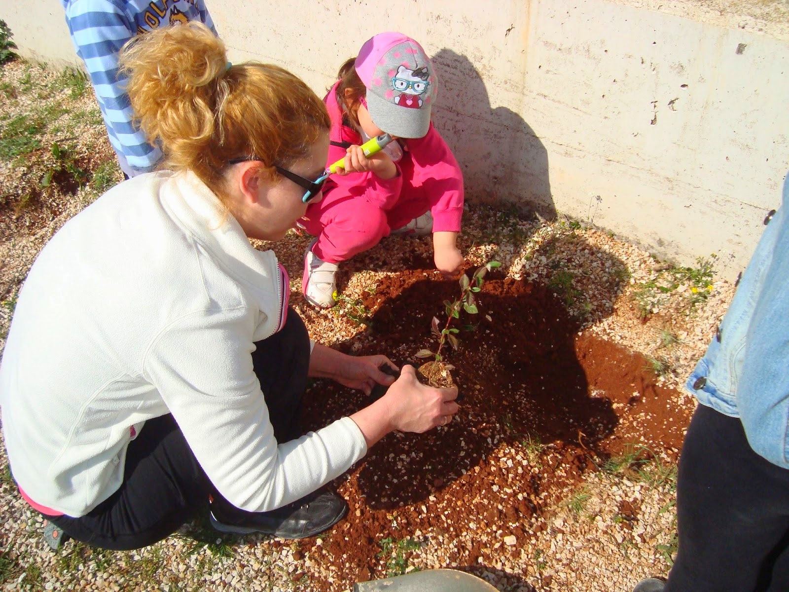 7ο ΝΗΠΙΑΓΩΓΕΙΟ ΙΩΑΝΝΙΝΩΝ -ΤΑ ΝΗΠΙΑ ΤΑΞΙΔΕΥΟΥΝ....: ΒΡΑΒΕΙΑ ΑΕΙΦΟΡΟΥ ...