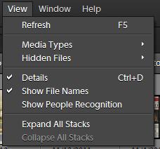 How to see File-Names in Adobe Photoshop Elements Organizer || Seeing ...