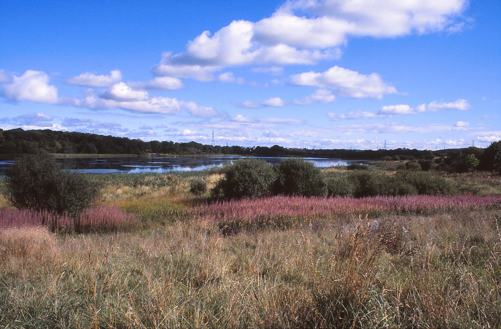 Glasgow's Wilds Better: Seven Lochs Area - sightings