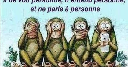 iPapy: Le 4ème singe...
