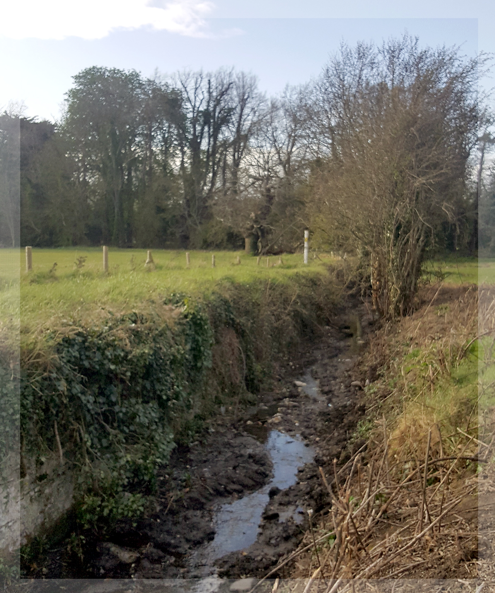 The Camac River at Corkagh.
