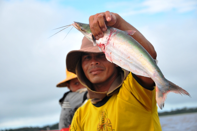 Manaquiri-AM: PESCA DO MAPARÁ - TEMPORADA 2012