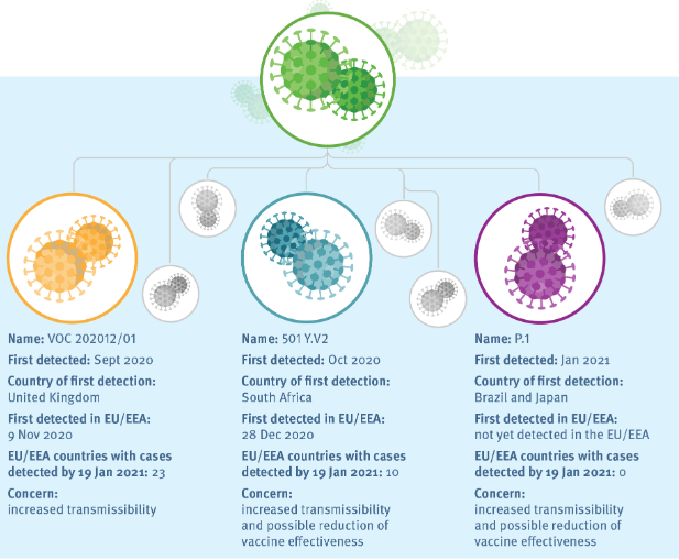 Avian Flu Diary: CDC Updated COVID Variant Map