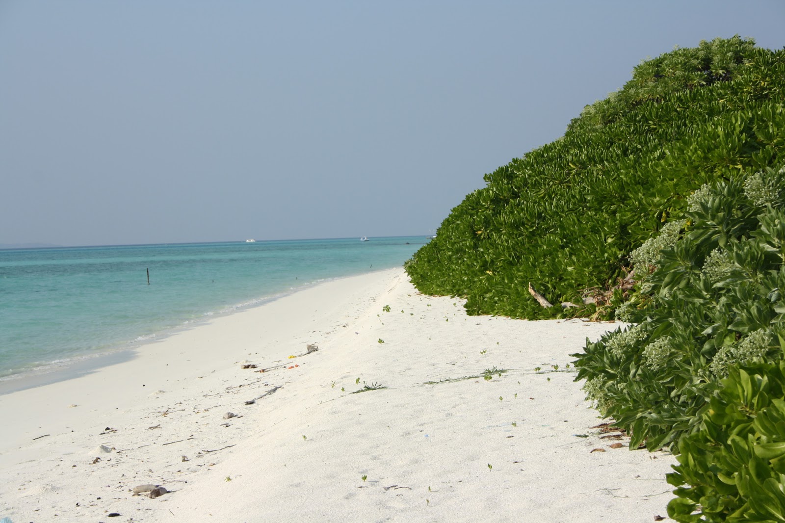 Ahmed Naufal: Holidaying to Hanimaadhoo, Maldives