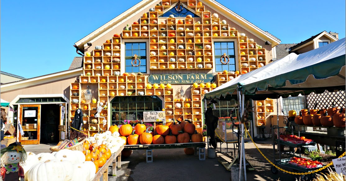 Granjas de Massachusetts: Wilson Farm