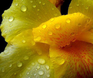 Computer, Facebook, Online Tips and Bytes: New Face Symbol for Facebook ...