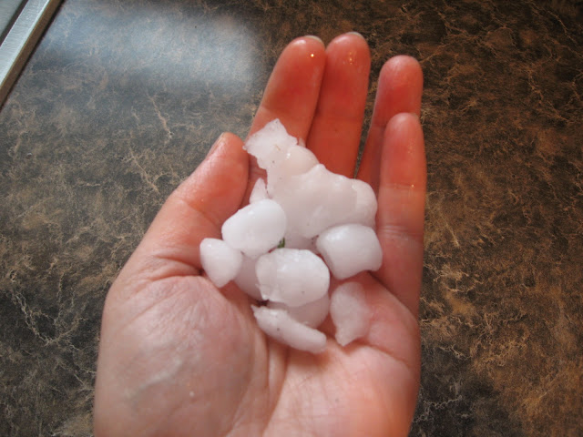 Almost Unschoolers: Homemade Hail Shakes