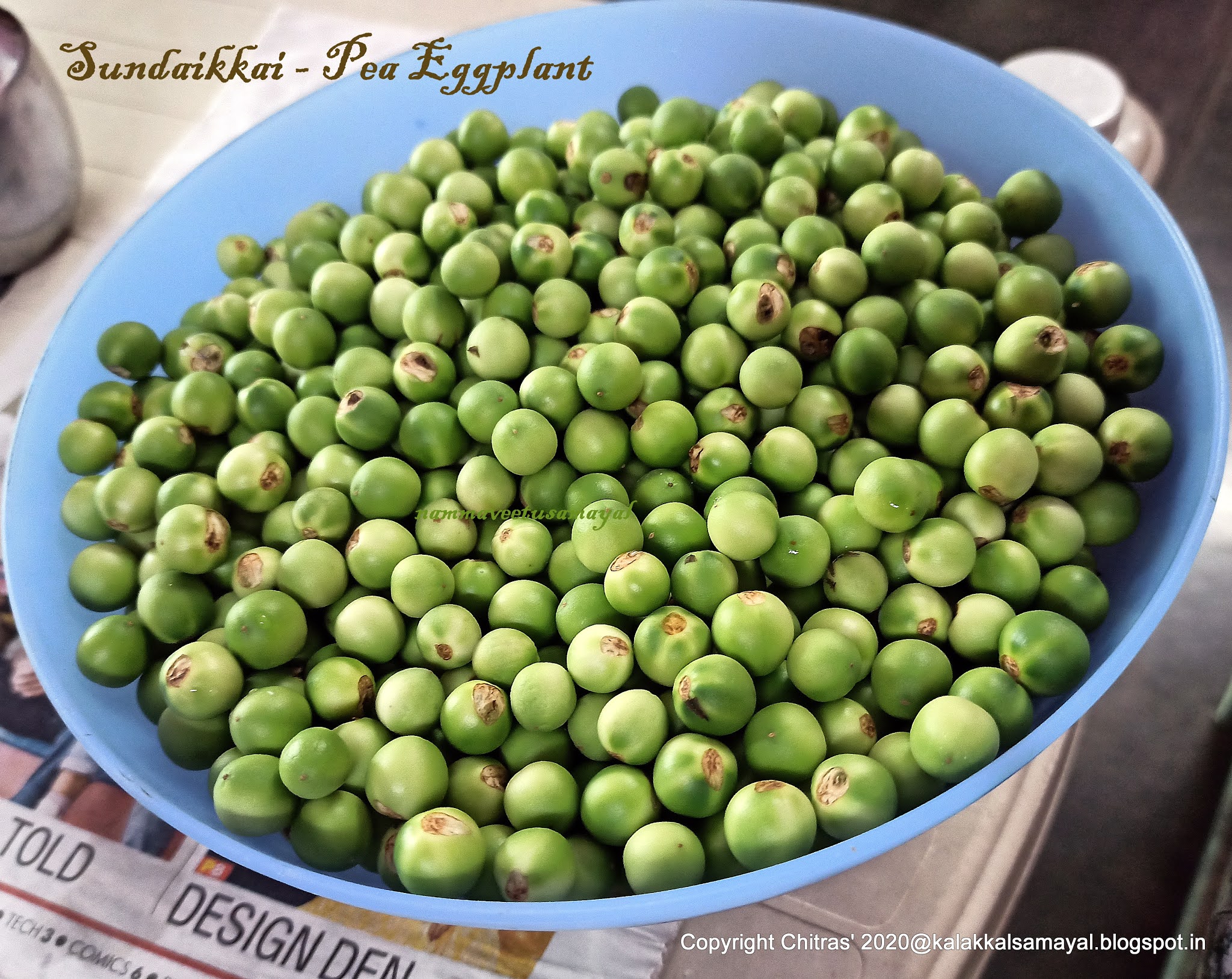 kalakkalsamayal: Sundaikkai_Dried_for_Preserving