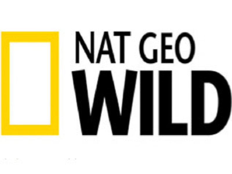 National Geographic Logos Gallery