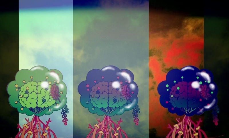 Manzanita Dulce: Itzli: Datos y curiosidades - Puella Magi Madoka Magica