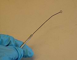 We Love Microbiology: ESSENTIAL INSTRUMENTS IN MICROBIOLOGY