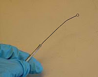 We Love Microbiology: ESSENTIAL INSTRUMENTS IN MICROBIOLOGY