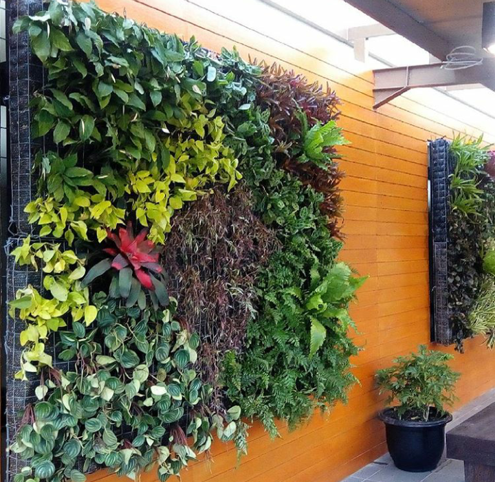 √Jasa vertical garden/taman vertikal boyolali - infoalamsurya