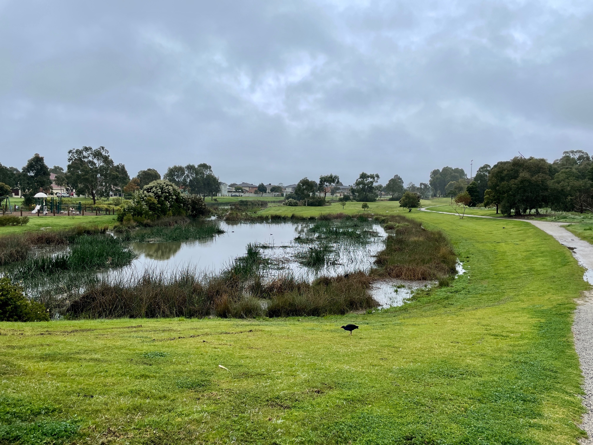 Goin' Feral One Day At A Time: Tatterson Park Circuit Walk - October 2021