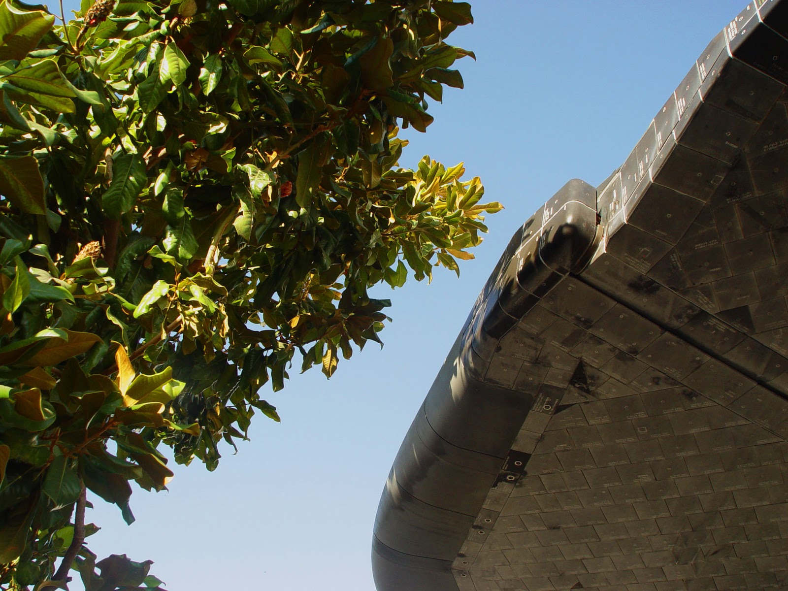 Chad Glass: Endeavoured to Join the Parade